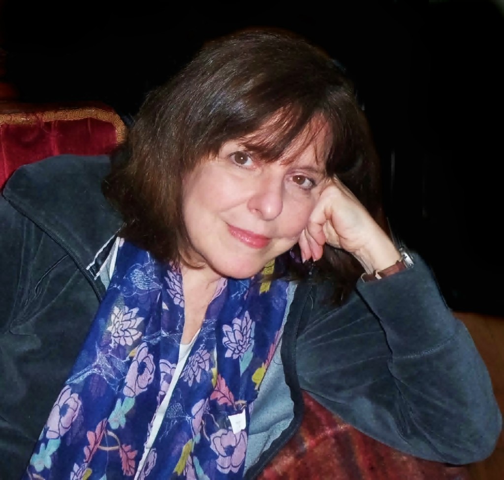 Publishing Success: Debut Author Susan Crawford Shares Her Story – Anne ...